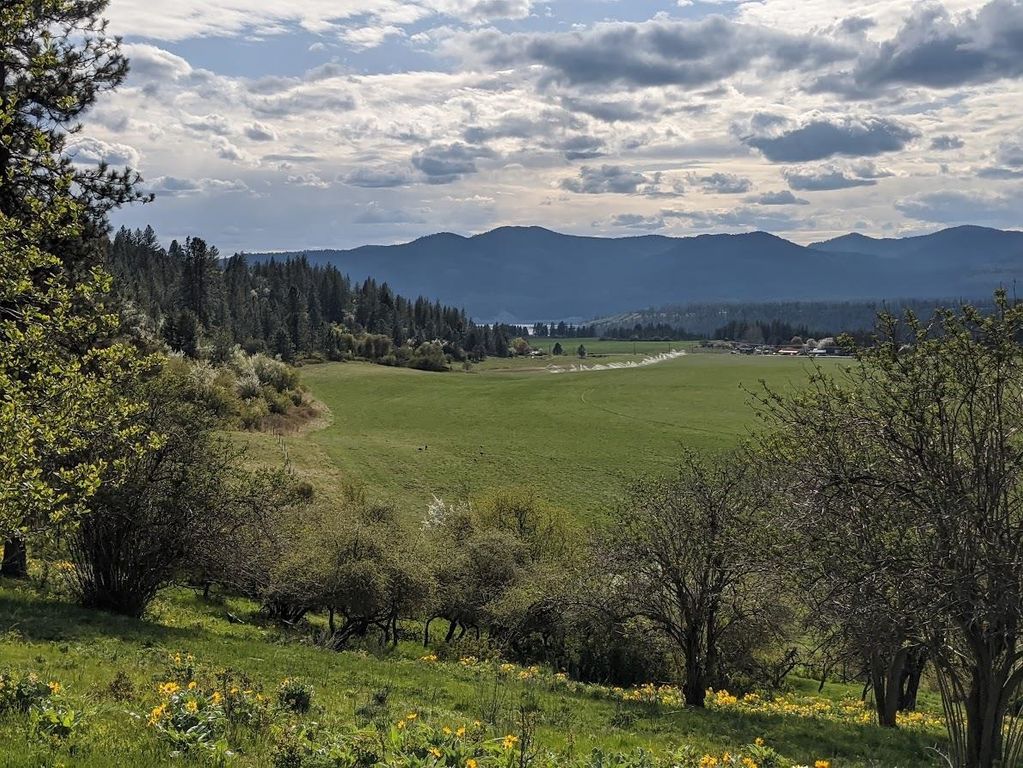 3703 CEDONIA-ADDY RD, HUNTERS, WA 99137, HUNTERS, WA | Clearwater ...