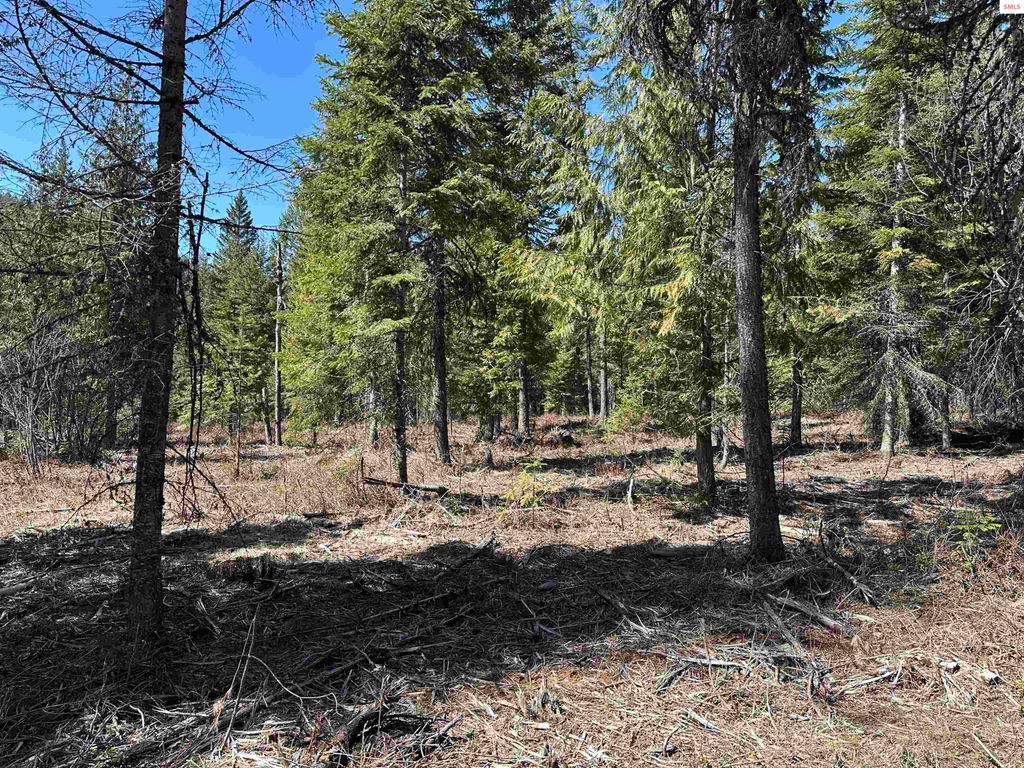 NNA BUTLER CREEK RD., COCOLALLA, ID 83813, COCOLALLA, ID | Clearwater ...